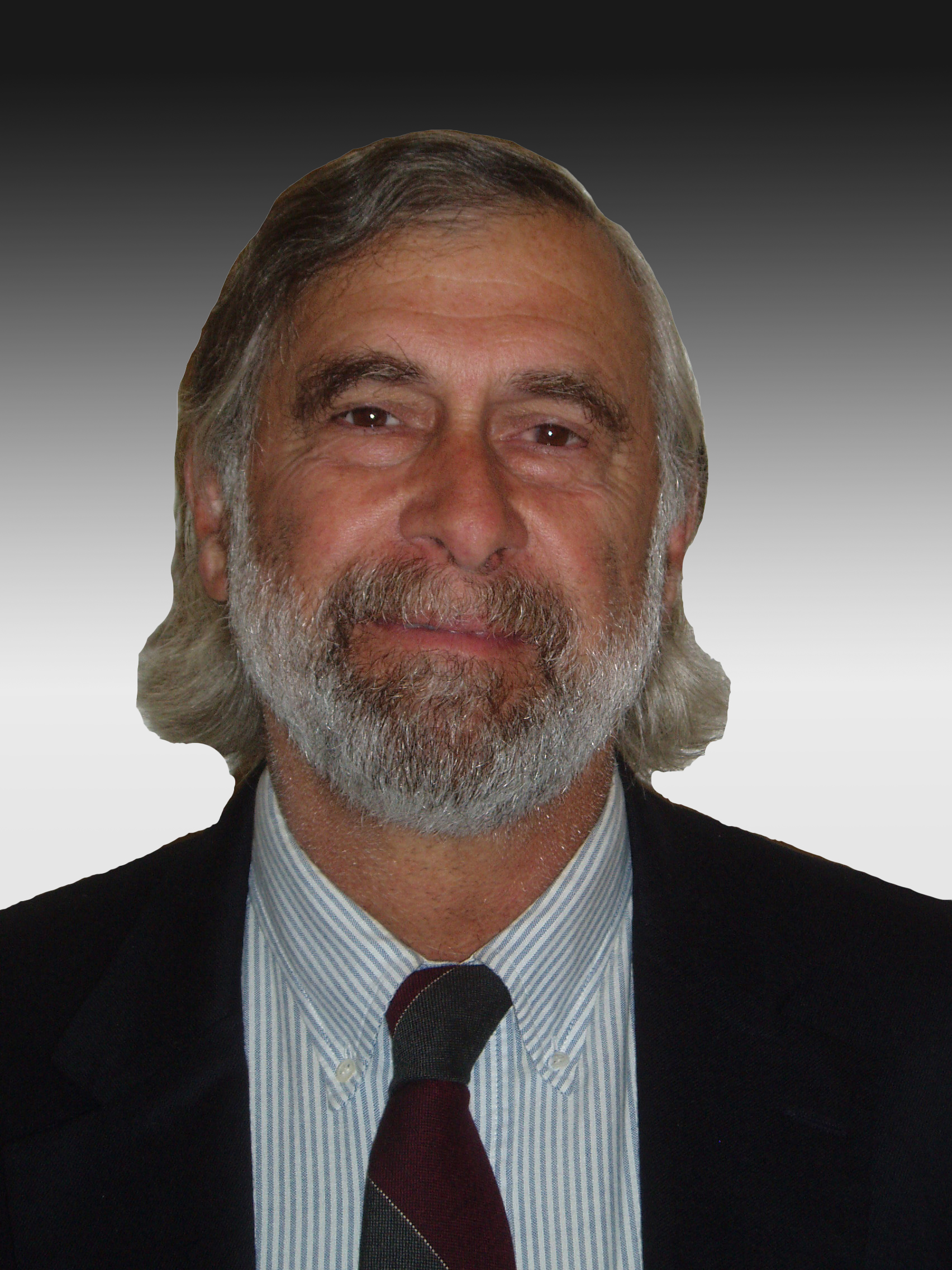 SIR Committees - SIR Branch One